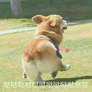 瓦西里_旺旺米饼 