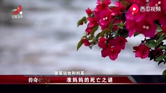 怀孕少妇的死亡之迷