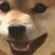 番茄炒蛋 
