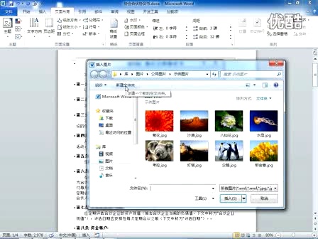word2010教程 第17集 为文档添加水印效果