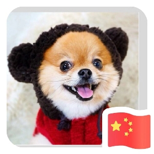 做题跟着感觉走 