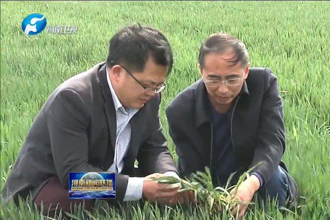 街坊农业阎文峰谈硒的种类