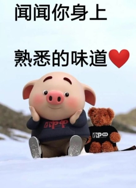 如果有下辈子,我一定不会放过你
