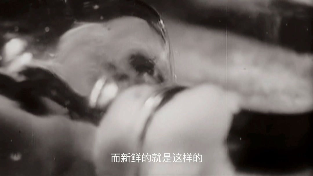 青霉素的诞生过程