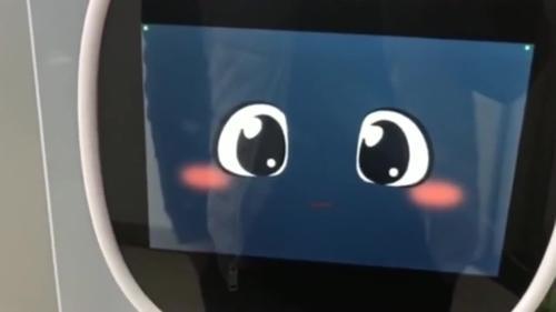 大哥命令机器人恢复出厂设置,结果被怼了!这回答我给满分!