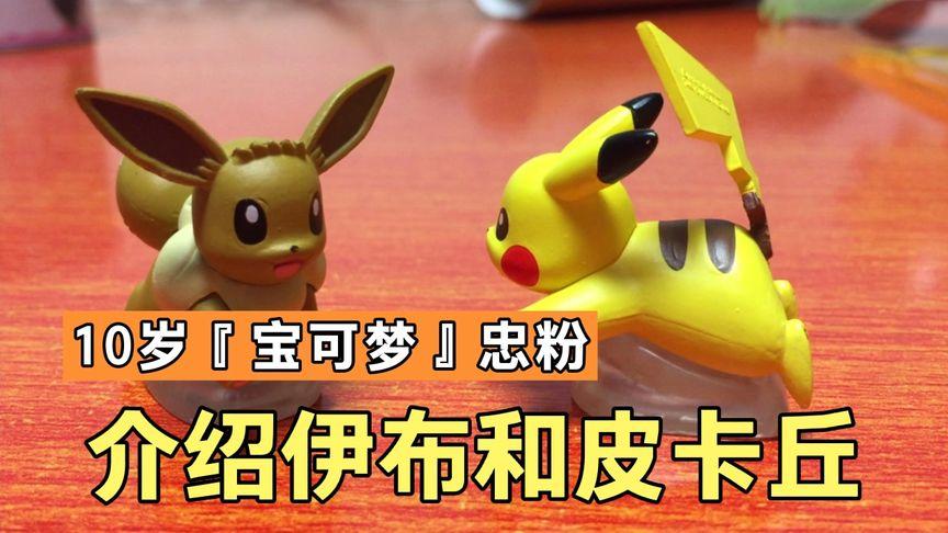10岁神奇宝贝忠粉介绍伊布和皮卡丘