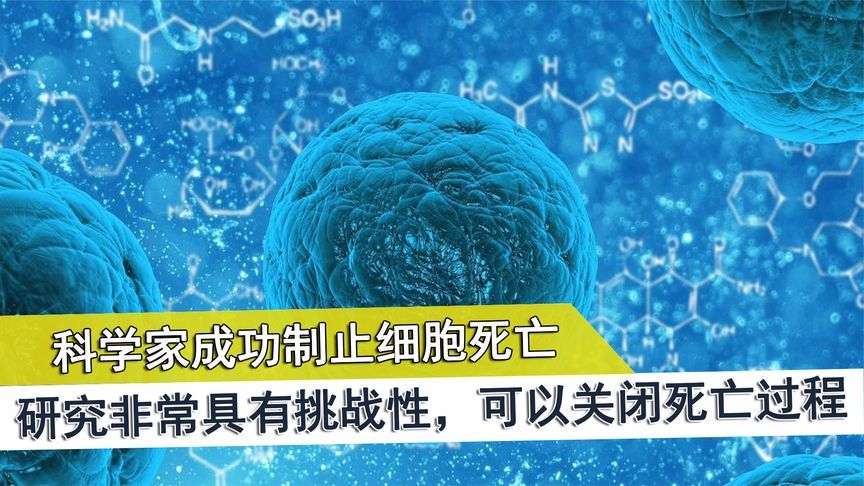 科学家成功制止细胞死亡,研究非常具有挑战性,可以关闭死亡过程