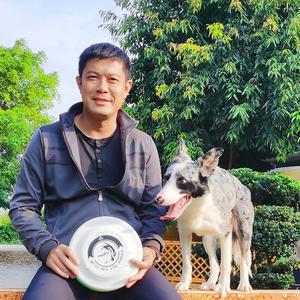 方向训犬学校 