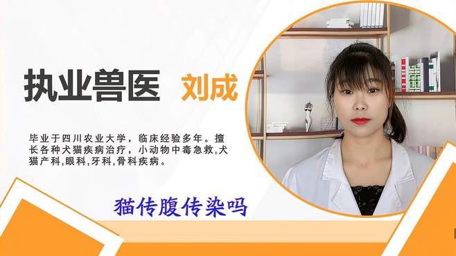 猫传腹会传染吗?