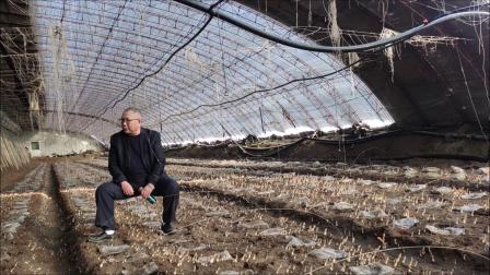 羊肚菌专家贾乾义讲:羊肚菌酸碱度测定方法