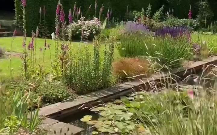 【种植日记】绿篱和花境真是绝配!