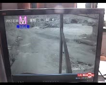 【拍客】猖獗盗狗贼驾车持麻醉毒针厂区盗狗全过程