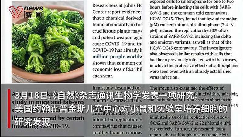 研究发现:花椰菜可能有助应对新冠病毒,萝卜硫素成关键成分