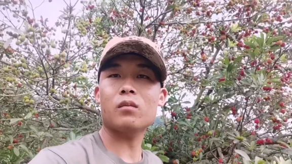 杨梅太多太多了好甜又大颗,免费没人管理了,来的可以找我要位置