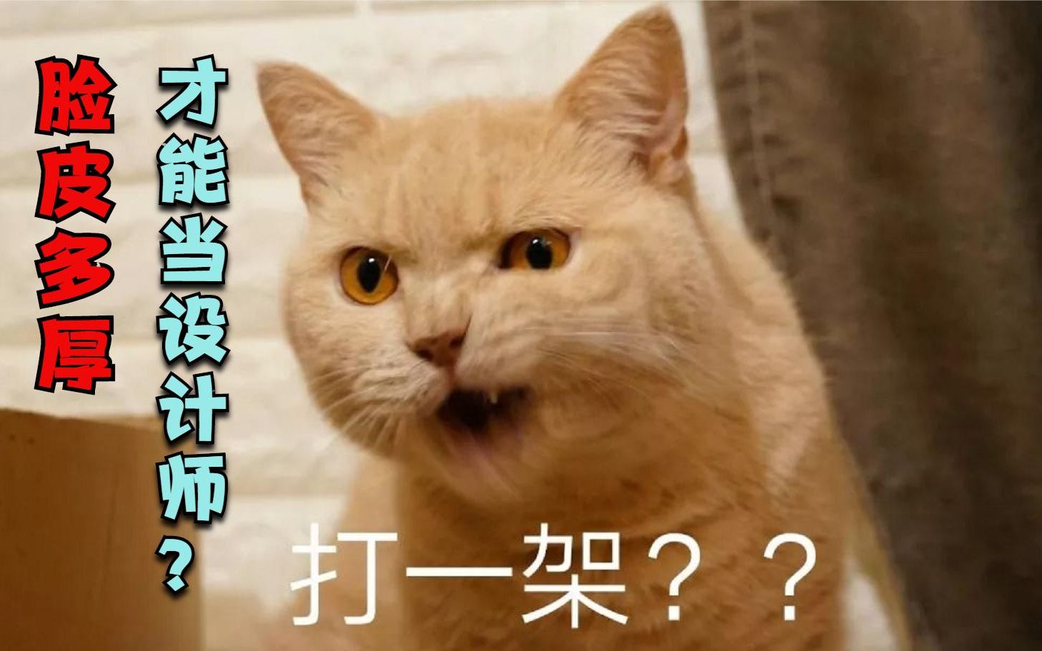 设计师脸皮不厚,怎么跟甲方、施工单位、审图单位打交道?