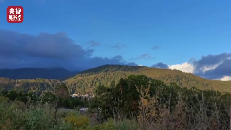 【315晚会曝光!#翡翠直播间借高价原石发廉价成品#缅甸翡翠代购直播...