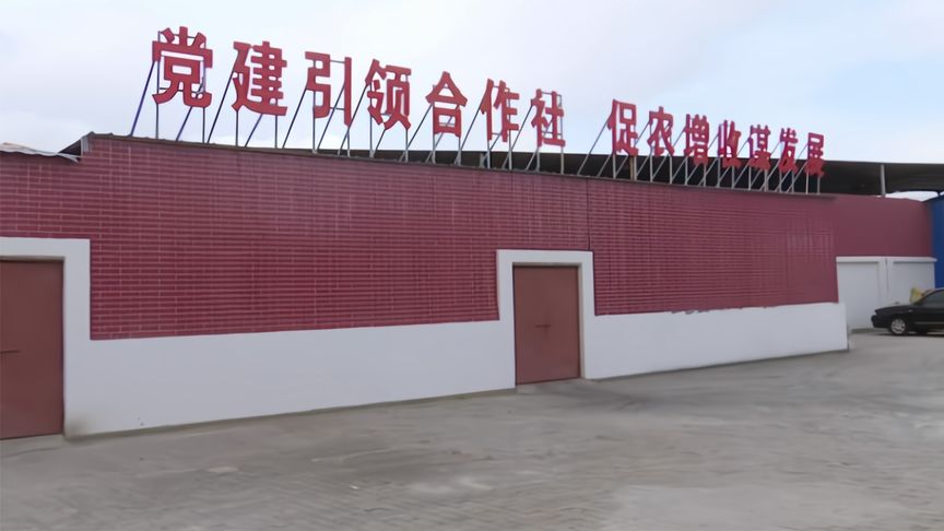 金塔县发挥党建引领作用促脱贫