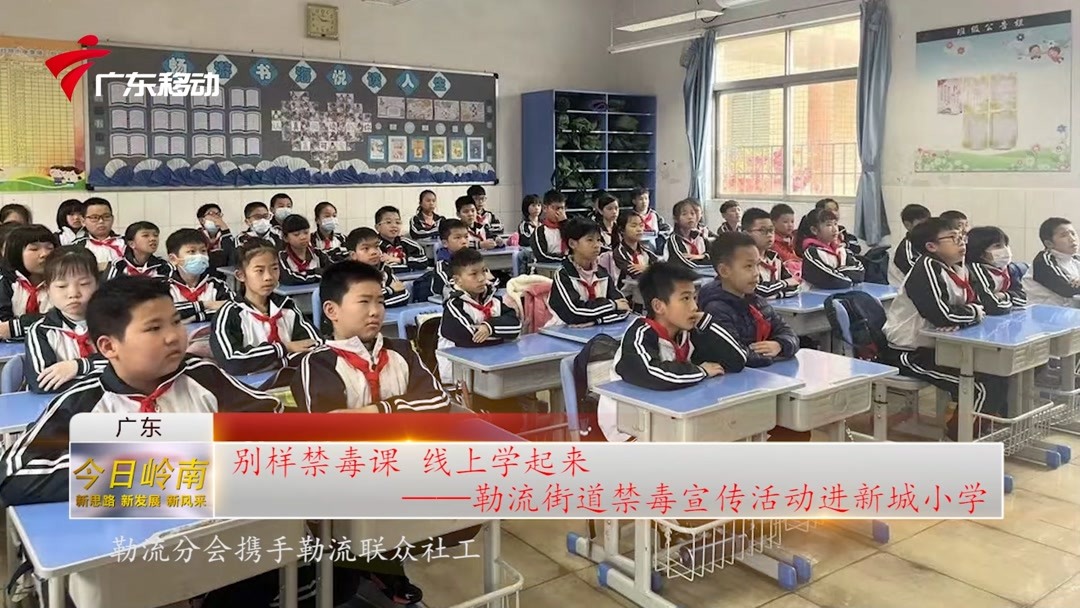 别样禁毒课 线上学起来——勒流街道禁毒宣传活动进新城小学