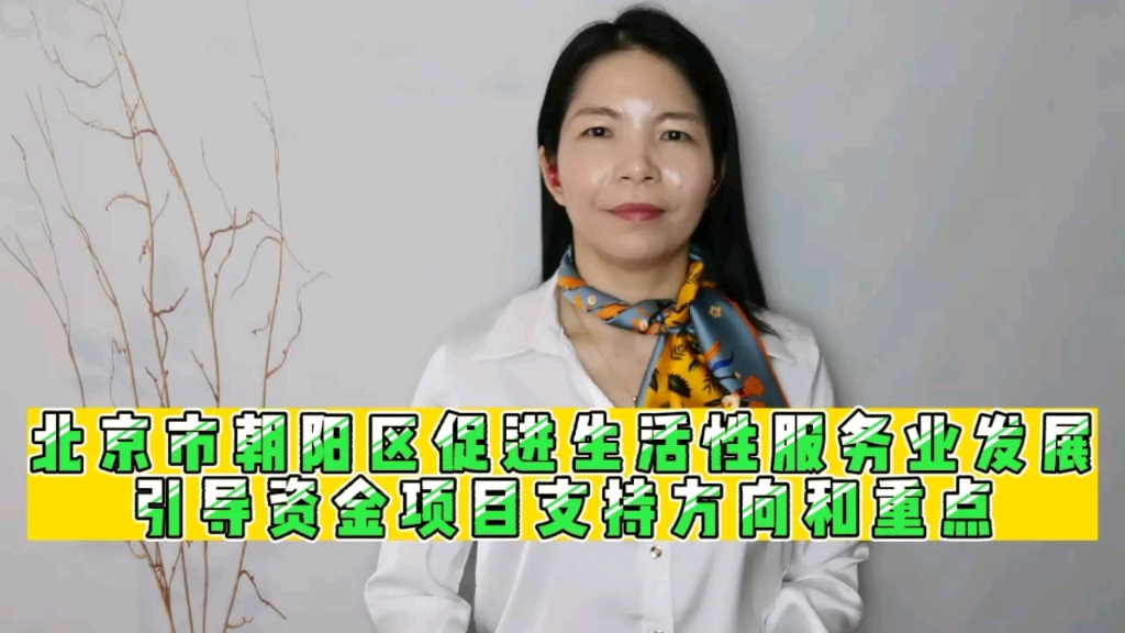 北京市朝阳区促进生活性服务业发展引导资金项目支持方向和重点