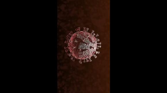 来认识一下,这个恶魔!新型冠状病毒的样子
