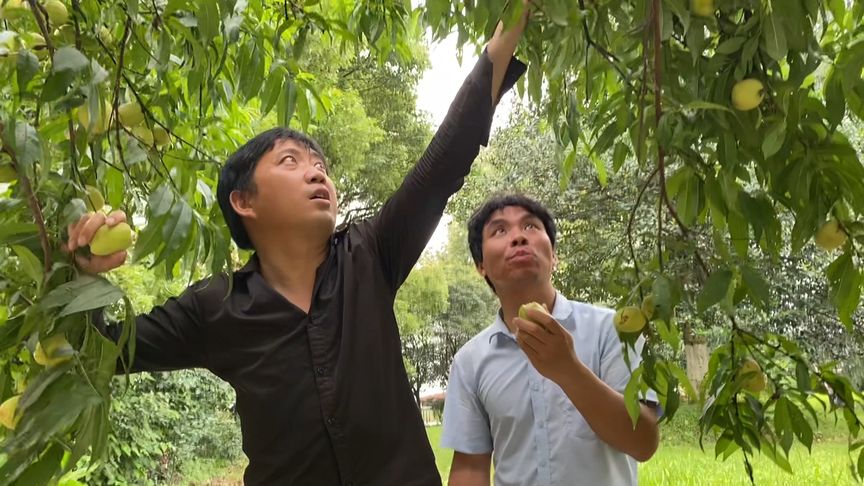 废弃公园摘桃子,真是太好吃了
