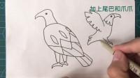 简笔画老鹰的画法