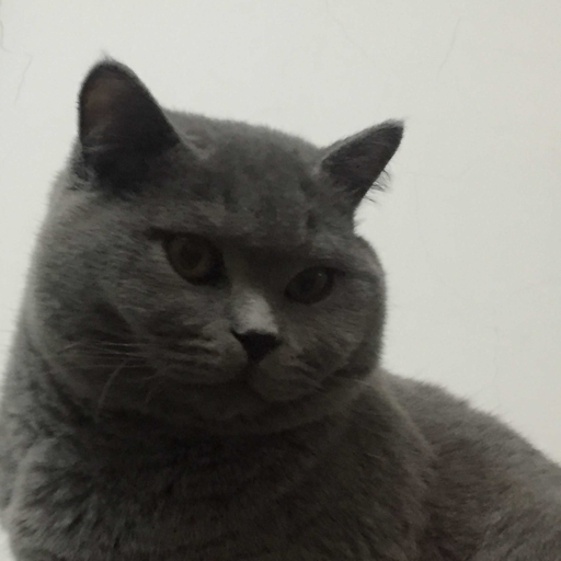 月亮下面想犯罪 