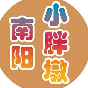 南阳小胖墩 