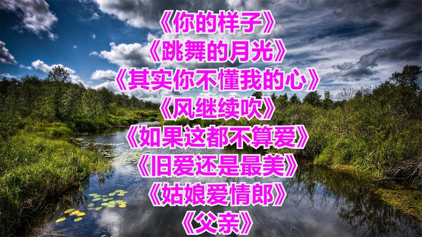 {你的样子}{跳舞的月光}{其实你不懂我的心}{风继续吹}