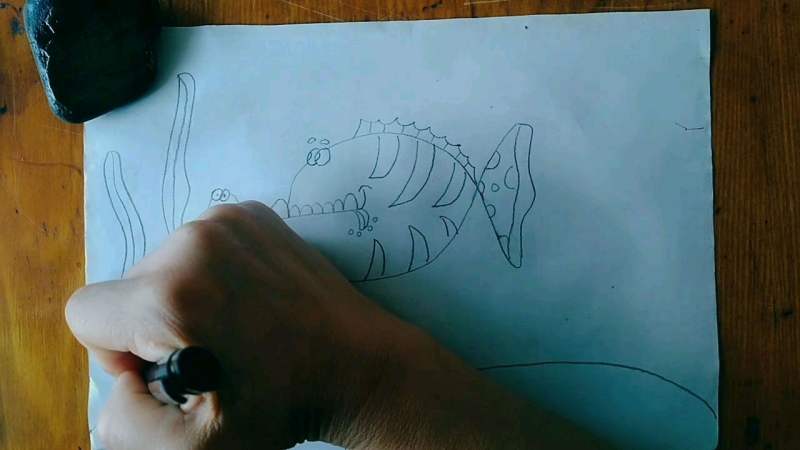 儿童海底世界简笔画,让你感受它独特的魅力