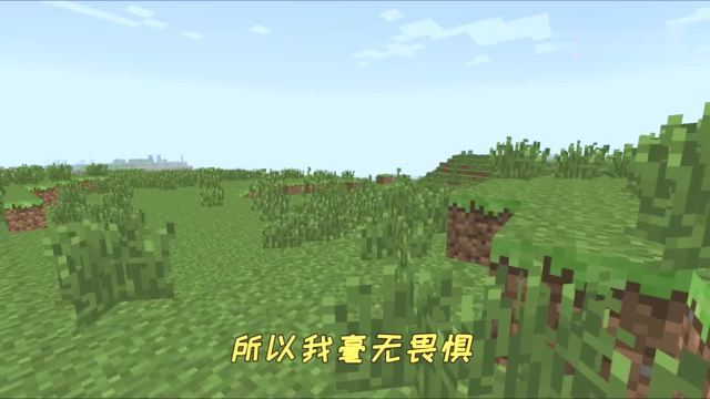 我的世界:混沌乱码凋灵秒杀凋灵斯拉?堪称无敌的凋灵你见过吗!