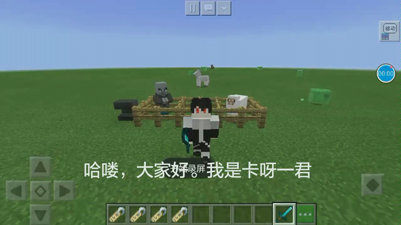 我的世界命名牌上奇妙的名字。