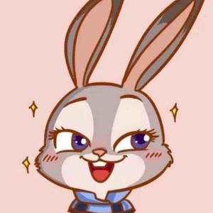 兔小白Diy 