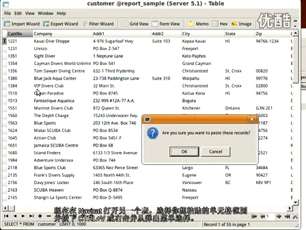 如何在 Navicat 数据库管理工具复制和粘贴数据? (Linux)