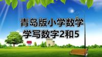 青岛版小学数学学写数字2和5