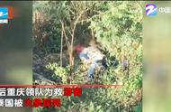 两名游客不听劝告拉扯大象尾巴,愤怒大象发飙追赶踩死领队!