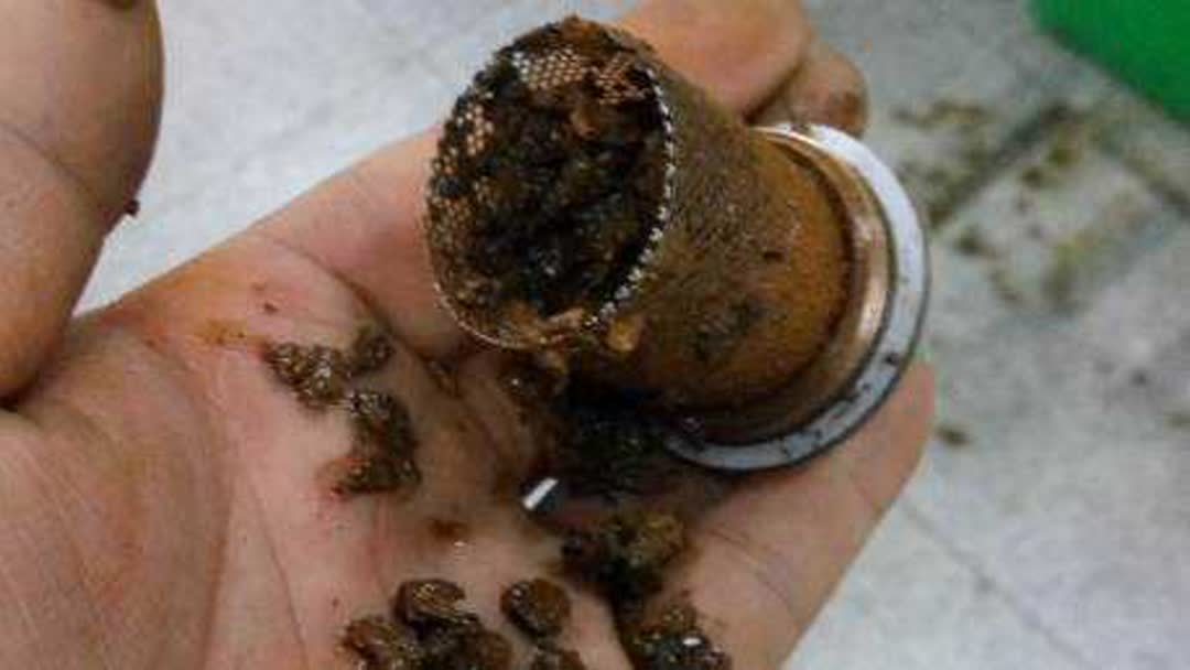 一个拆洗过滤器的反面例子