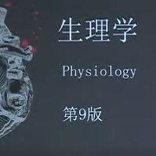 考研-7106 