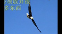 比尔盖茨哈佛大学毕业演讲