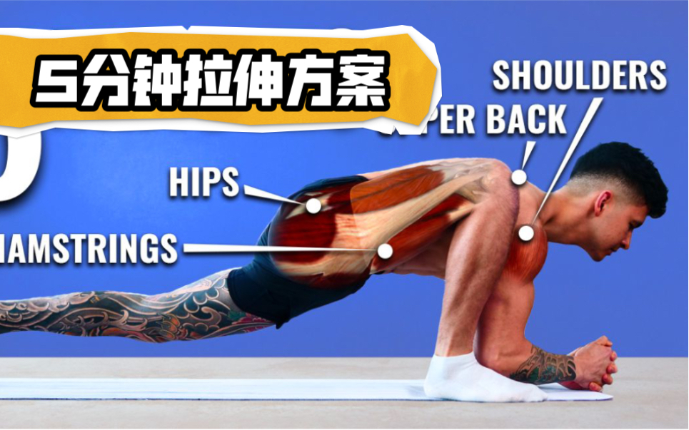 拉伸教学:每天五分钟就够了!【中文版】|Jeremy Ethier