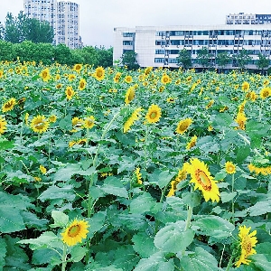 想放松i 