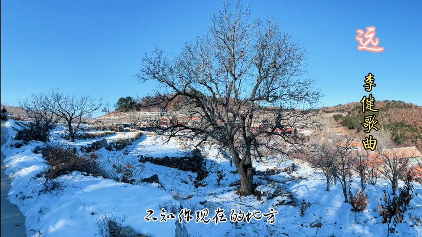 超喜欢的一首歌,每次听都差点掉泪#手机摄影#手机拍照