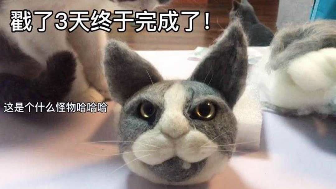 用猫咪的毛想做个一模一样的它出来,然而翻车了,说不出来哪里像