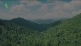 美丽中国 我是行动者