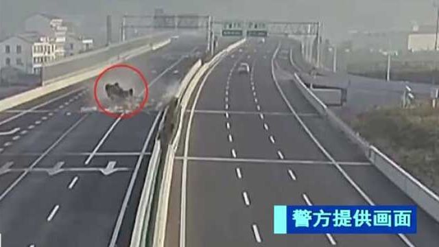 不系安全带的后果 鲜血淋淋