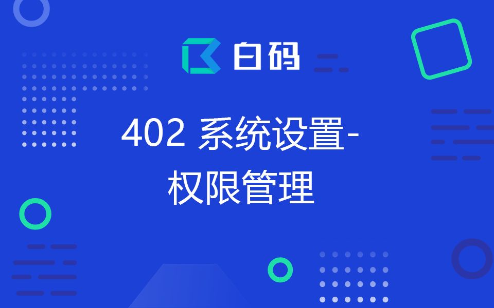 【白码无代码平台】学习视频402:系统设置-权限管理