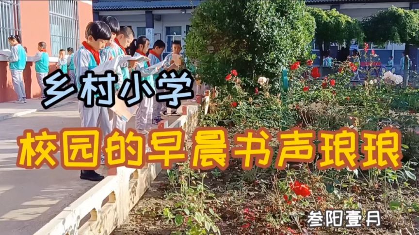 乡村小学的校园书声琅琅,学生们开始了一天的晨读