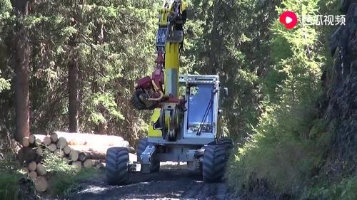 挖掘机,机械臂上装了专用的伐木设备,砍树和处理木材,真快啊!