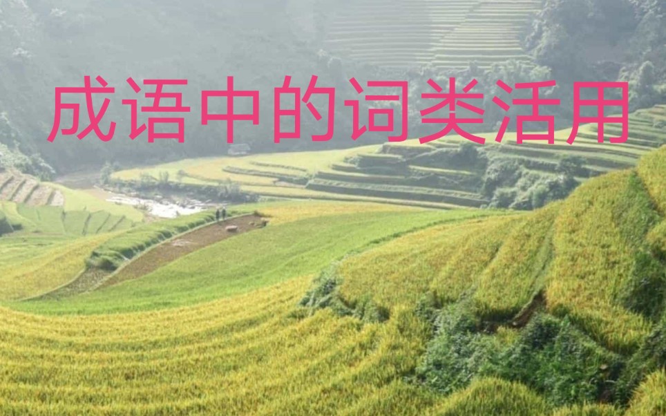 成语中的词类活用(二)