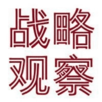 战略观察员 